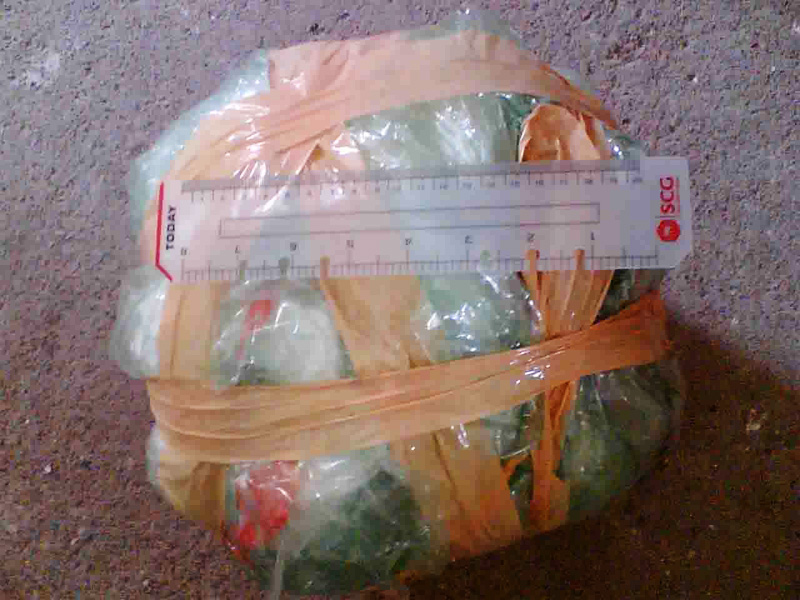 SCIECO SERVICES CO.,LTD. :: ตัวอย่างการกำจัดของเสียของ SCIeco